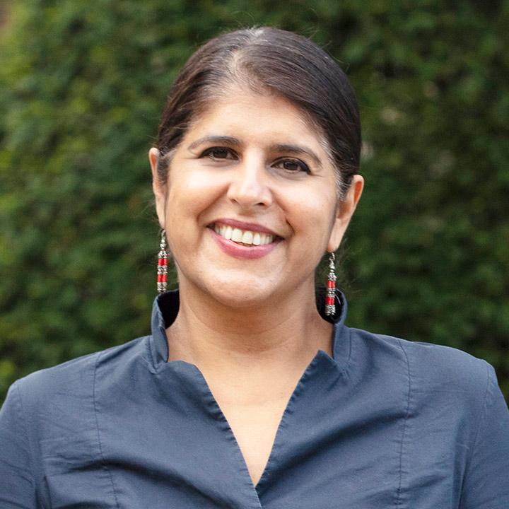 Smita Narula* | Pace University New York